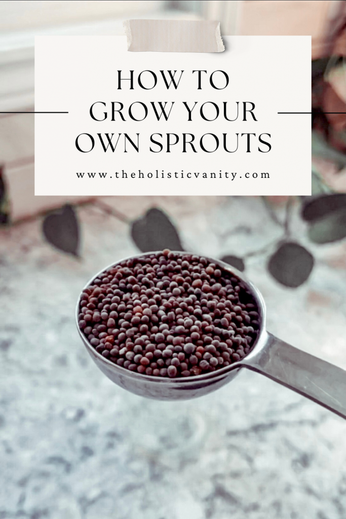 How to Grow your own Sprouts at Home - The Holistic Vanity