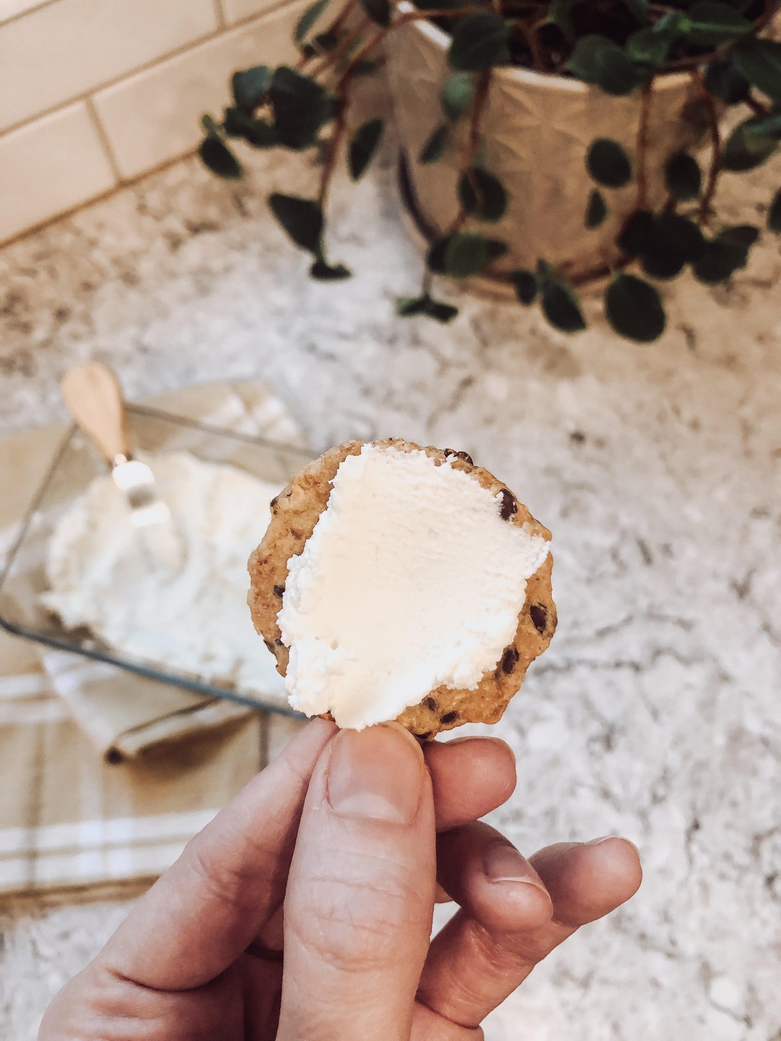 How to make Homemade Cream Cheese - The Holistic Vanity